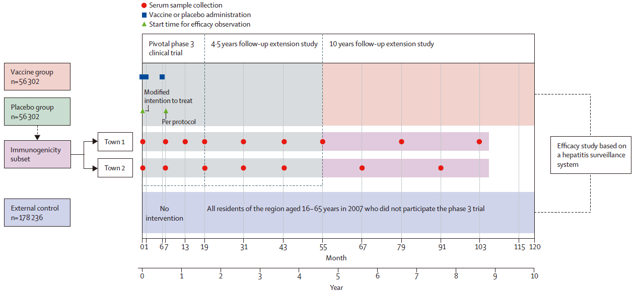 Hepatitis E Platform - Hepatitis E vaccine provides long-term protection
