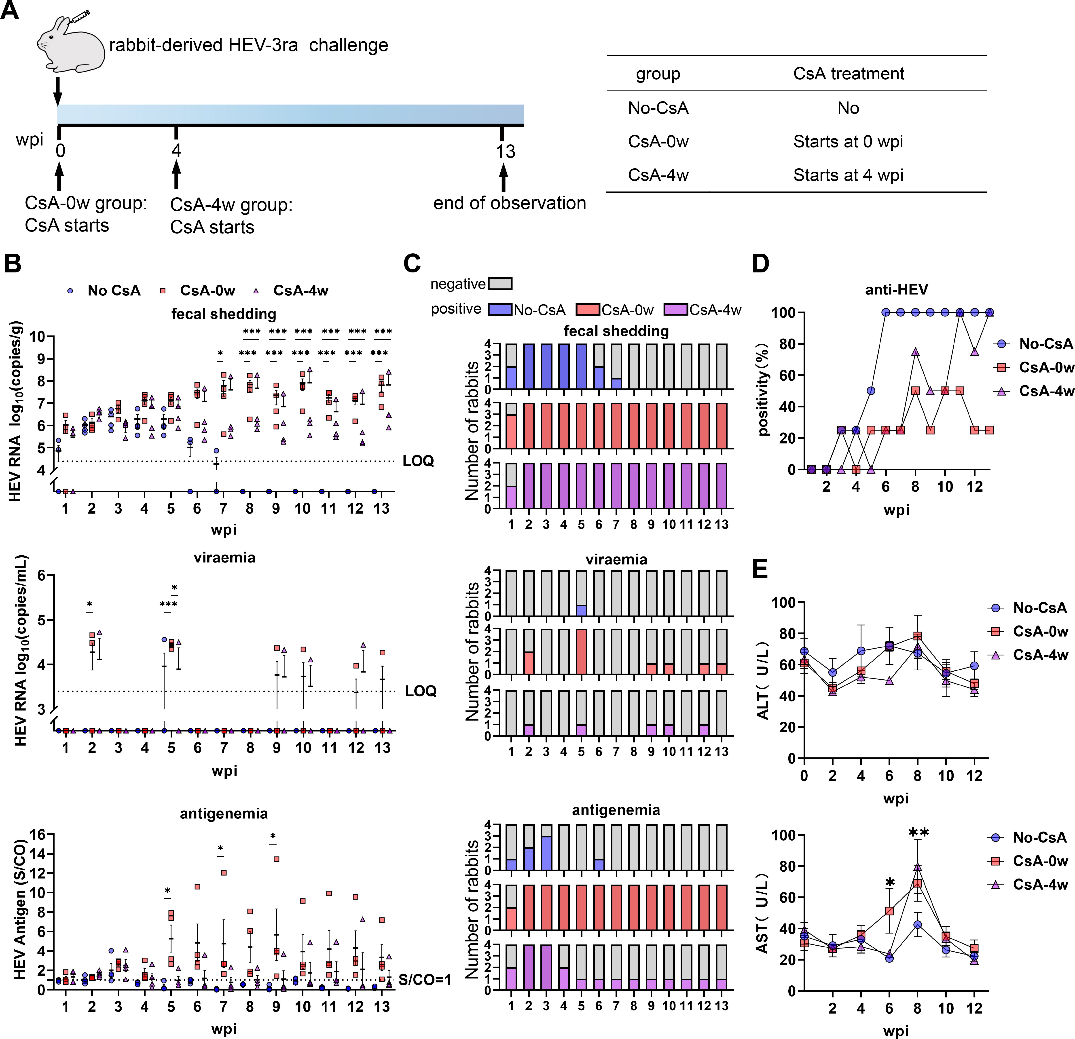 Hepatitis E Platform - Optimizing immunosuppression for establishing ...